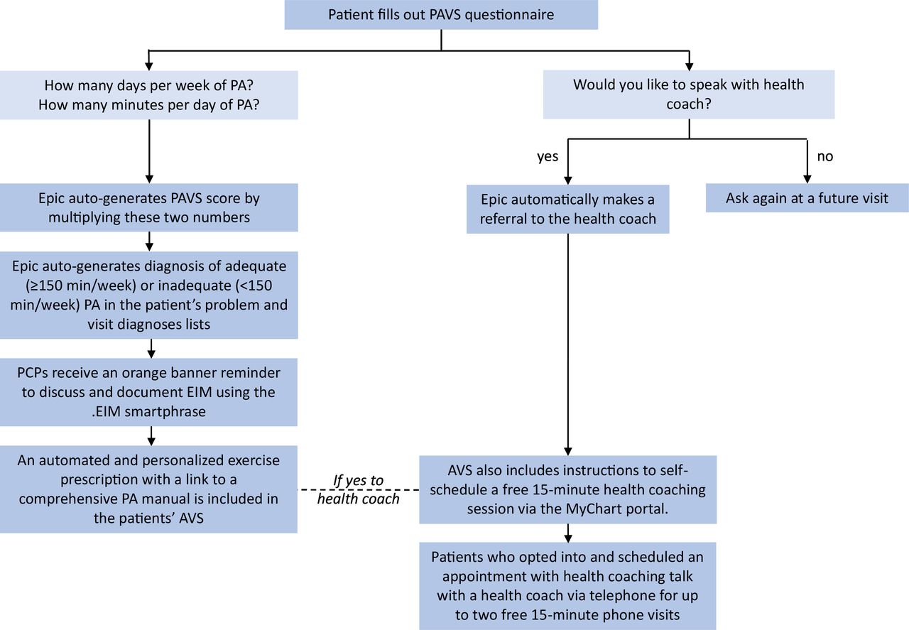 Implementation and evaluation of Exercise is Medicine in primary care ...