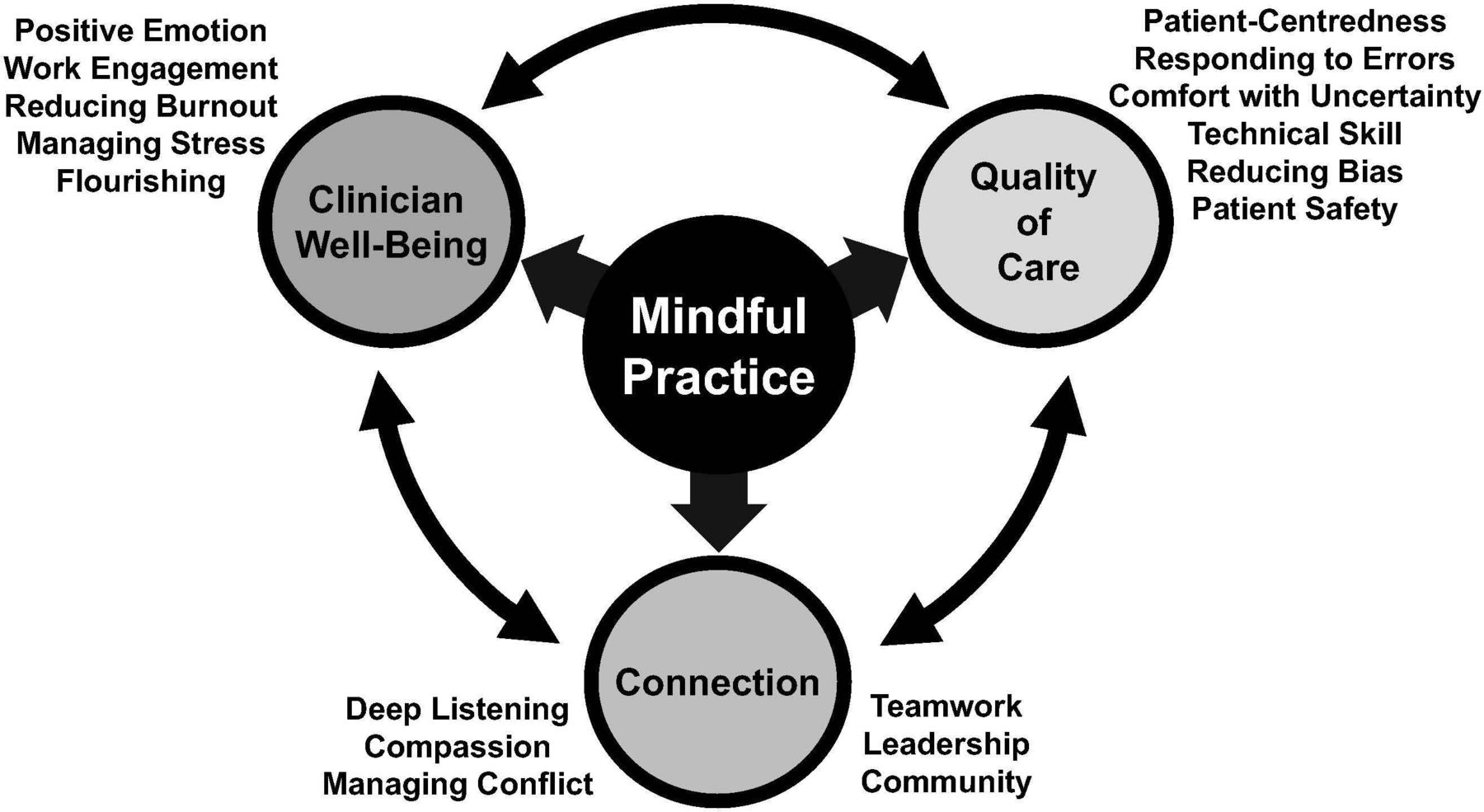 Storylines of family medicine IV: perspectives on practice—lenses of ...