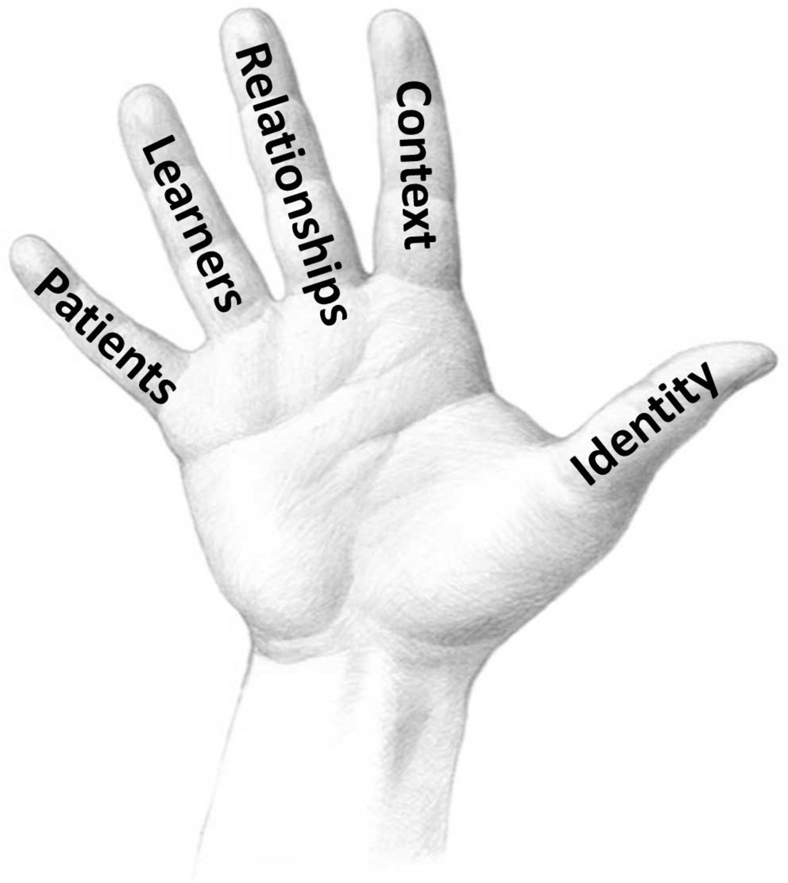 Storylines of family medicine XI: professional identity formation ...